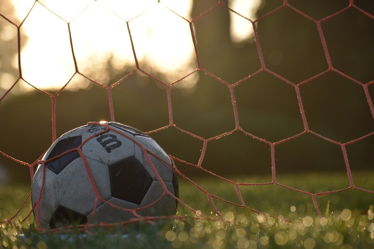 Mehlville, Oakville high schools win spring sports championship titles ...