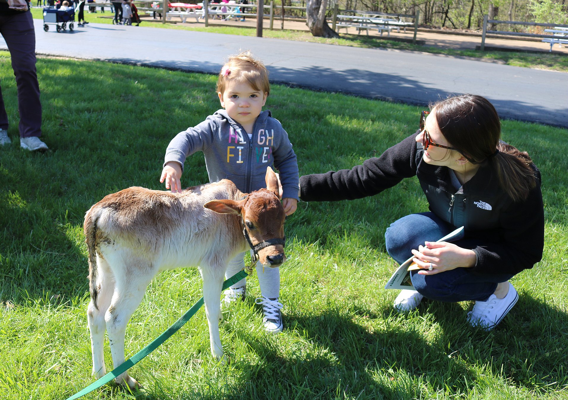 Early-childhood students go down on the farm – St. Louis Call Newspapers