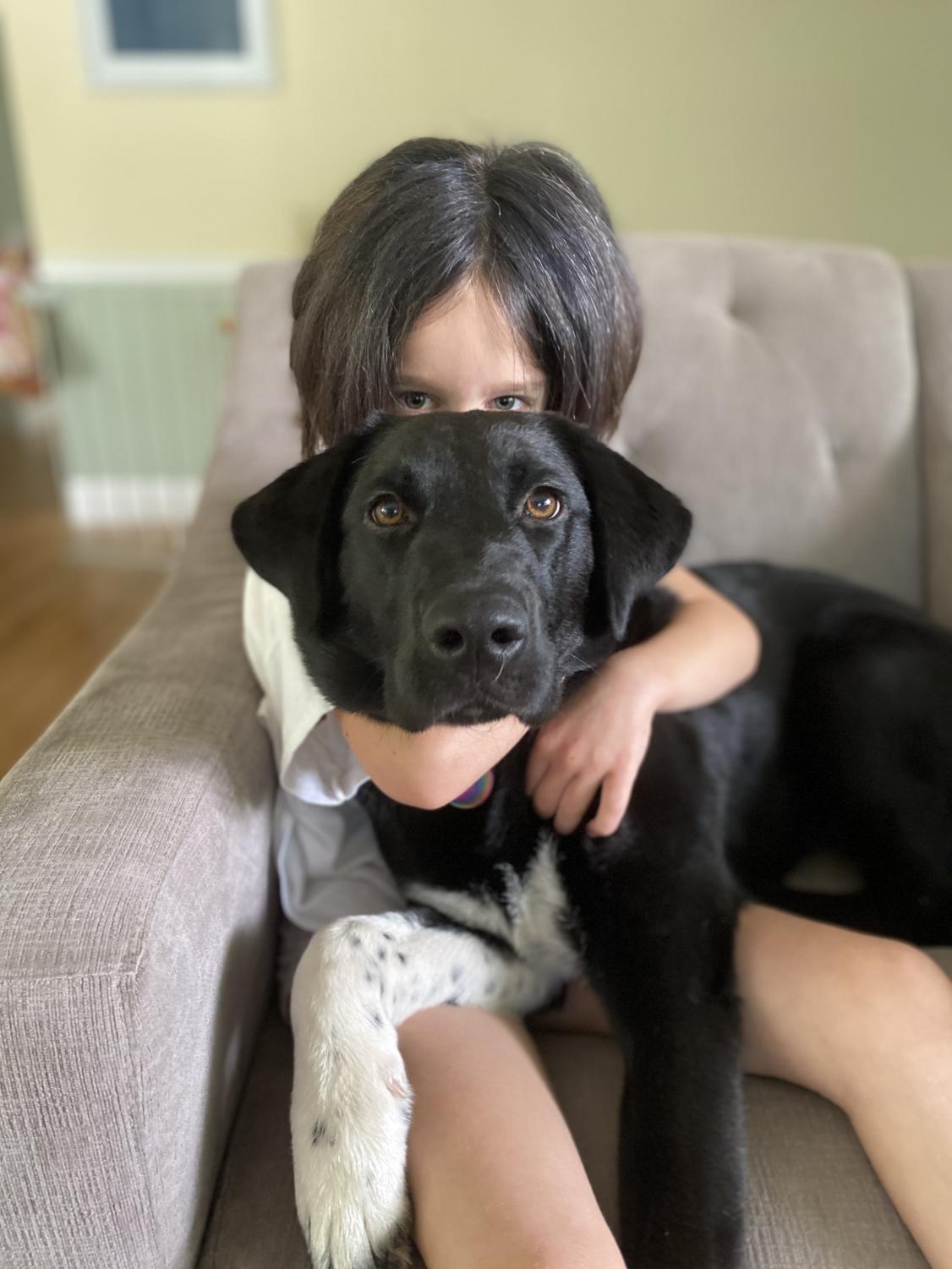 Sunset Hills Subaru, Animal Protective Association host pet adoption ...